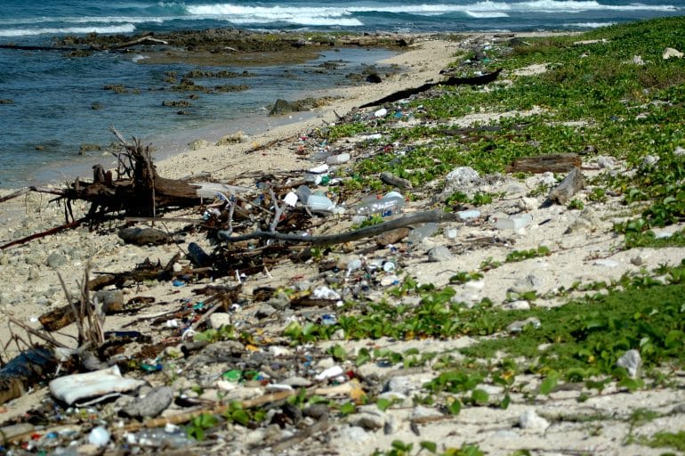 collpase | Focus on ecovolunteering