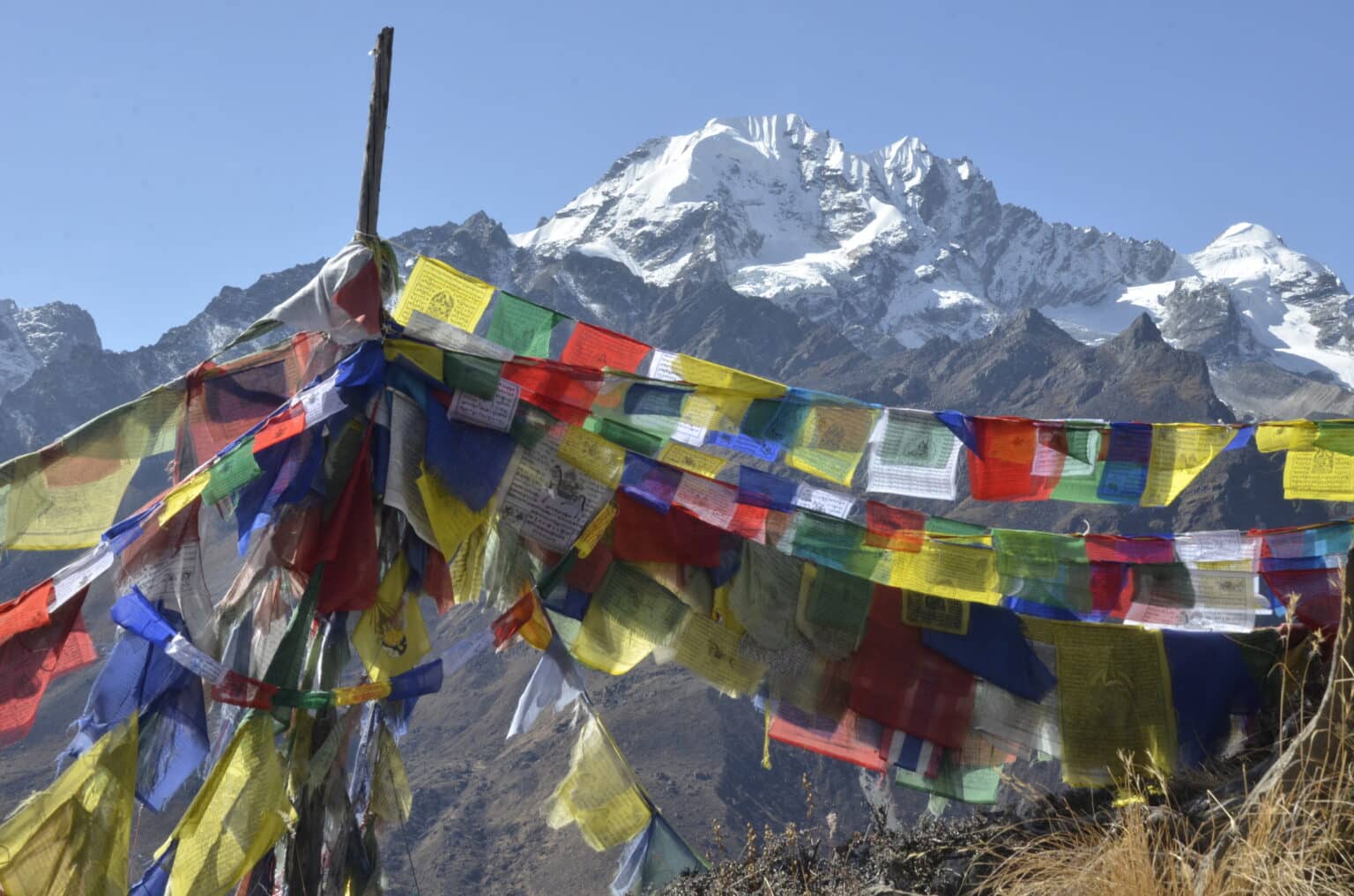 Protégez la panthère des neiges au Népal | Eco-volontaire